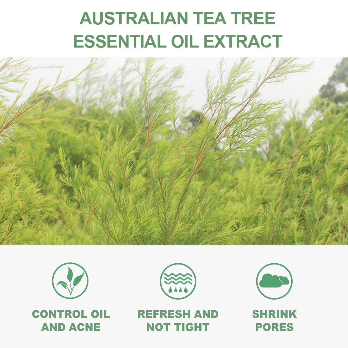 ZIA.DOO AUSTRALIAN TEA TREE OIL CONTROL ACNE SERUM | ziadoo